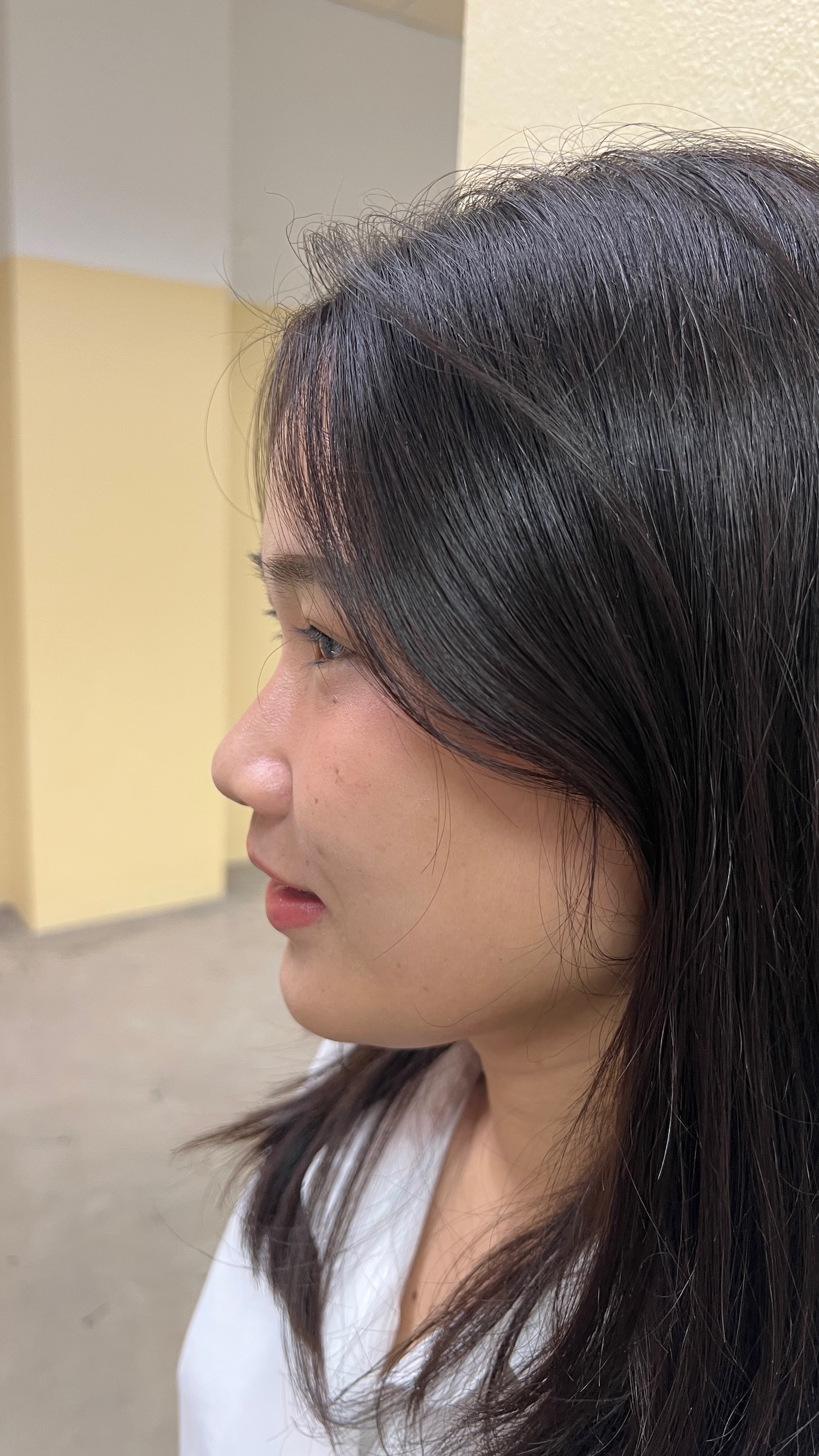 Eye 002 Object Detection Dataset by eye detec