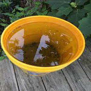 bucket puddles Object Detection Model by Glenn Mathew Garma