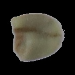 bean Object Detection Dataset by hello