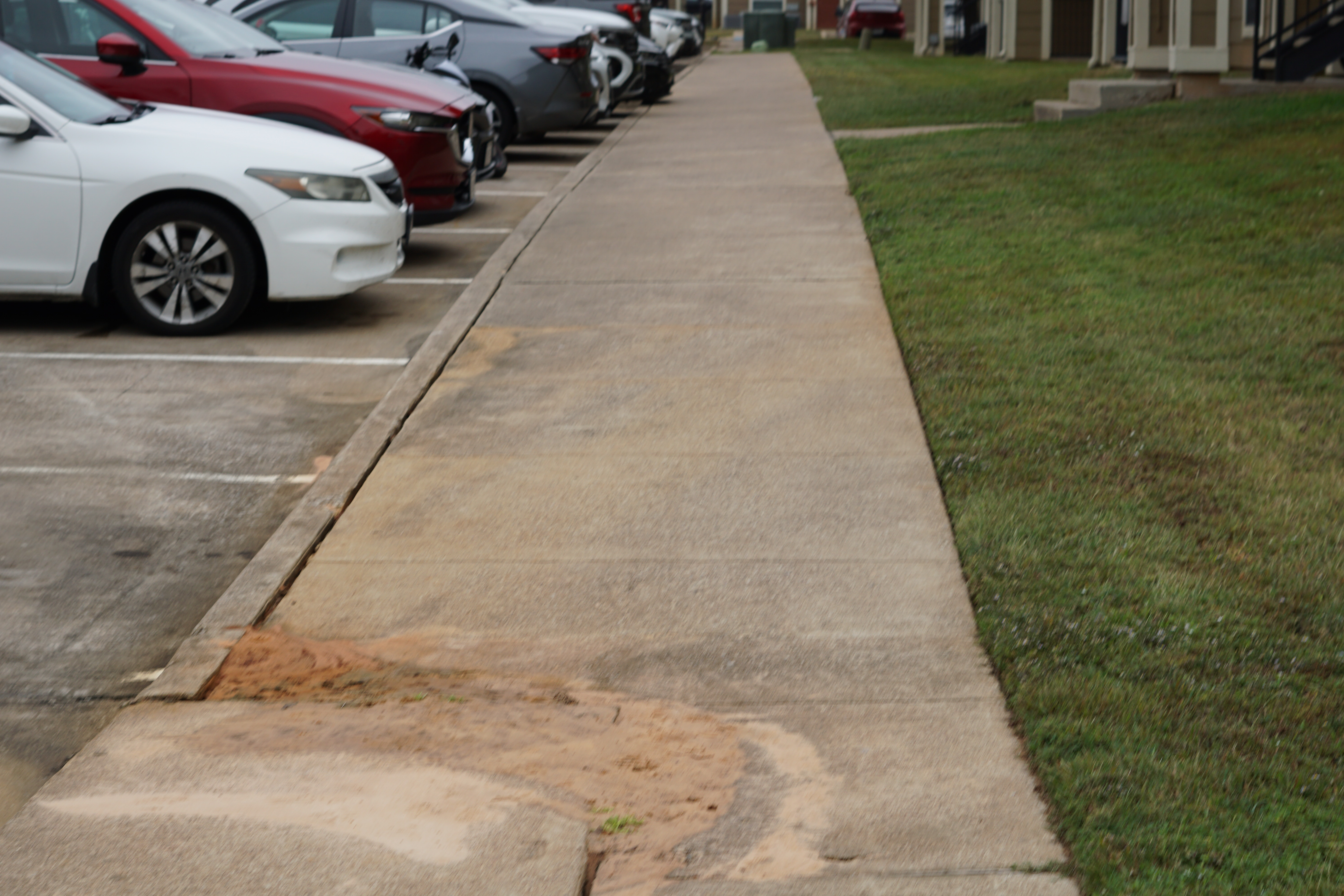 Sidewalk Detection Instance Segmentation Model by WhiteTest