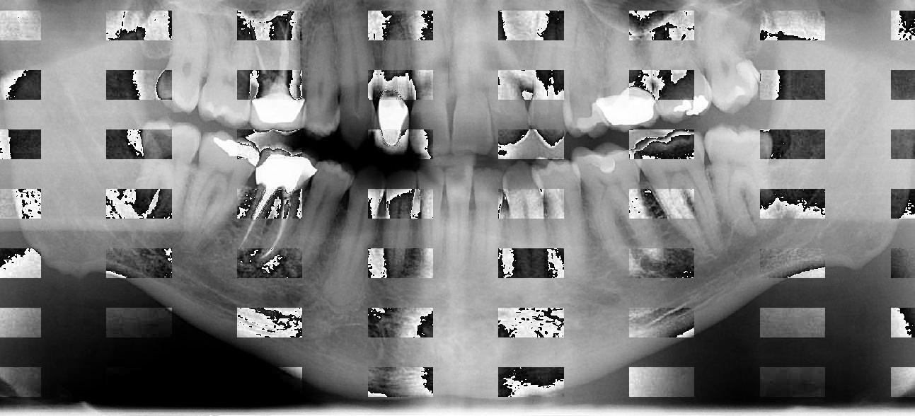 Assignment 2 Augmented Object Detection Dataset By Assignment2