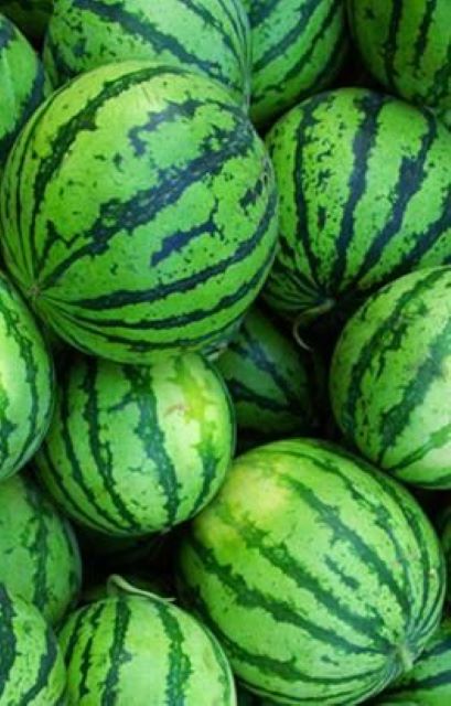 How to Use the Vegetables & Fruit Detection Object Detection API