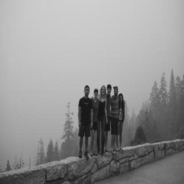 Fog Object Detection Dataset By Yolov11