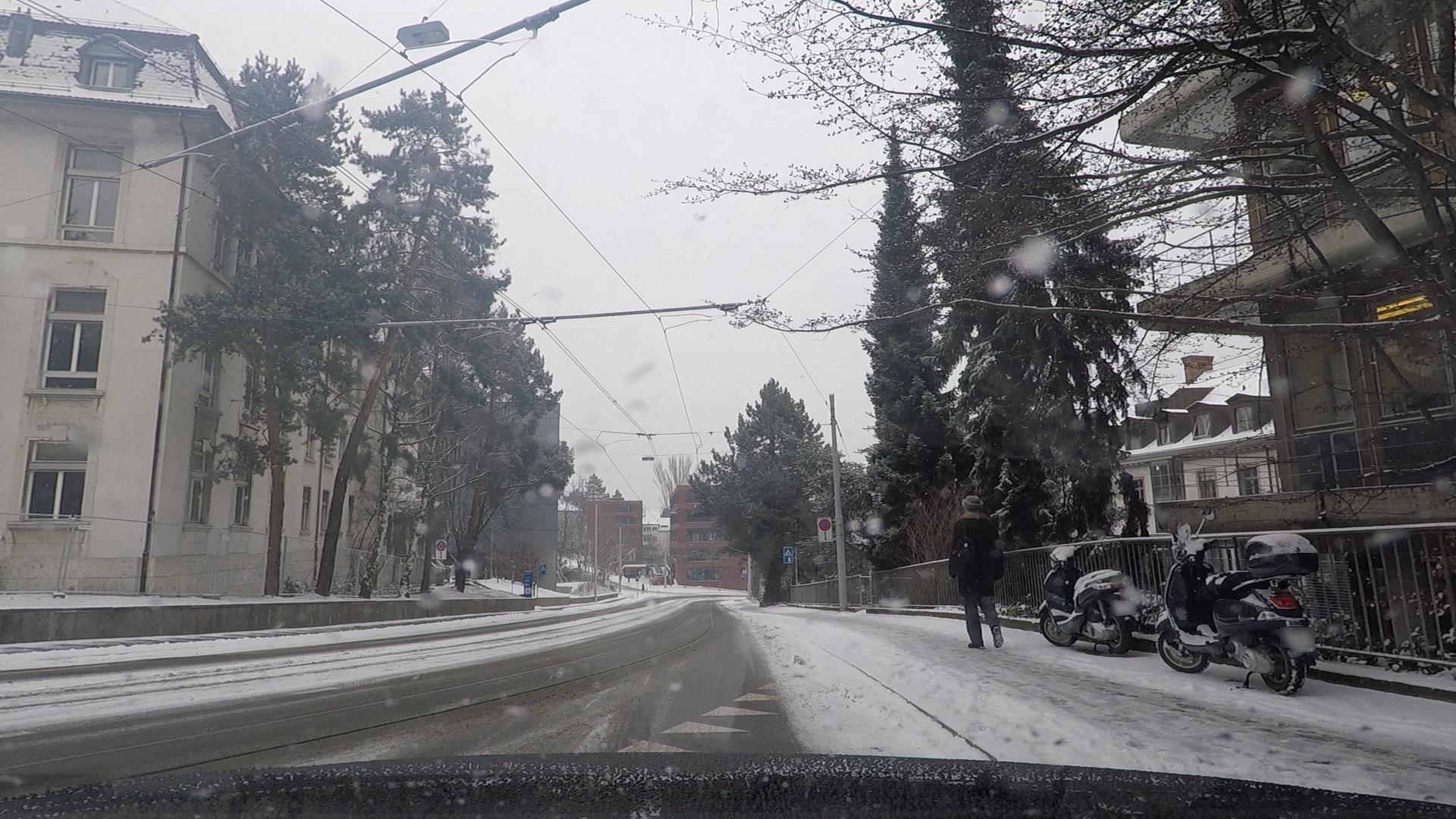 snow Object Detection Dataset by YOLOv11