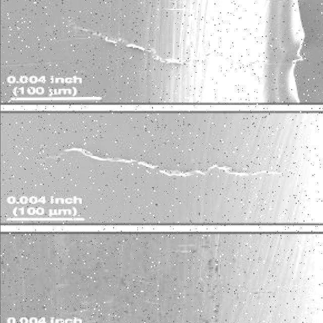 final data Instance Segmentation Model by Yolo v7 segmentation