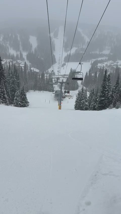 Skier Object Detection Model by Ski tracking and pose estimation