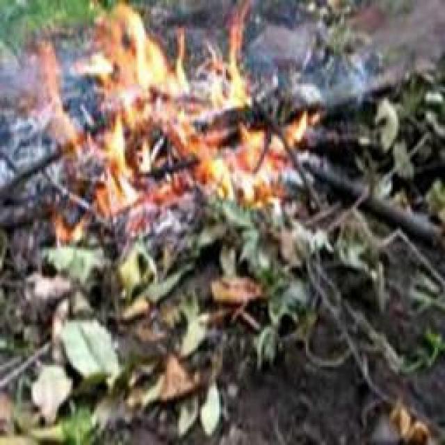 Fire Detect Object Detection Dataset By Fire Dectection