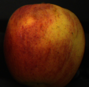 Fruit Instance Segmentation Dataset by Workspace