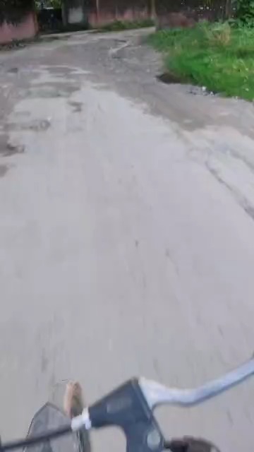 Pothole Detection Project Instance Segmentation Dataset by main