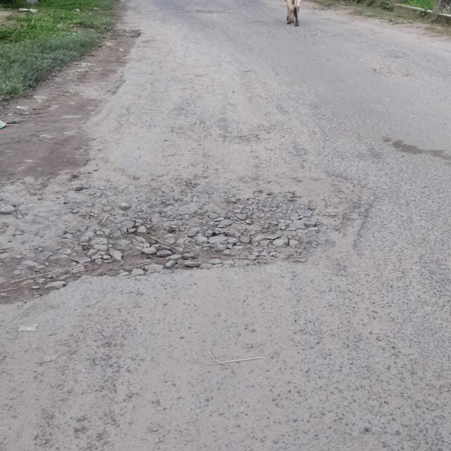 Pothole Dataset Object Detection Model by main