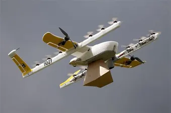 Winged Object Detection Dataset by Minor