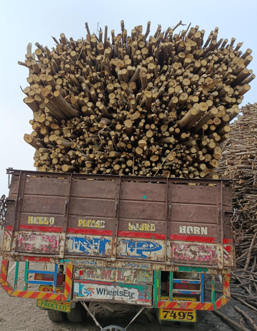 log detection Instance Segmentation Model by tnau