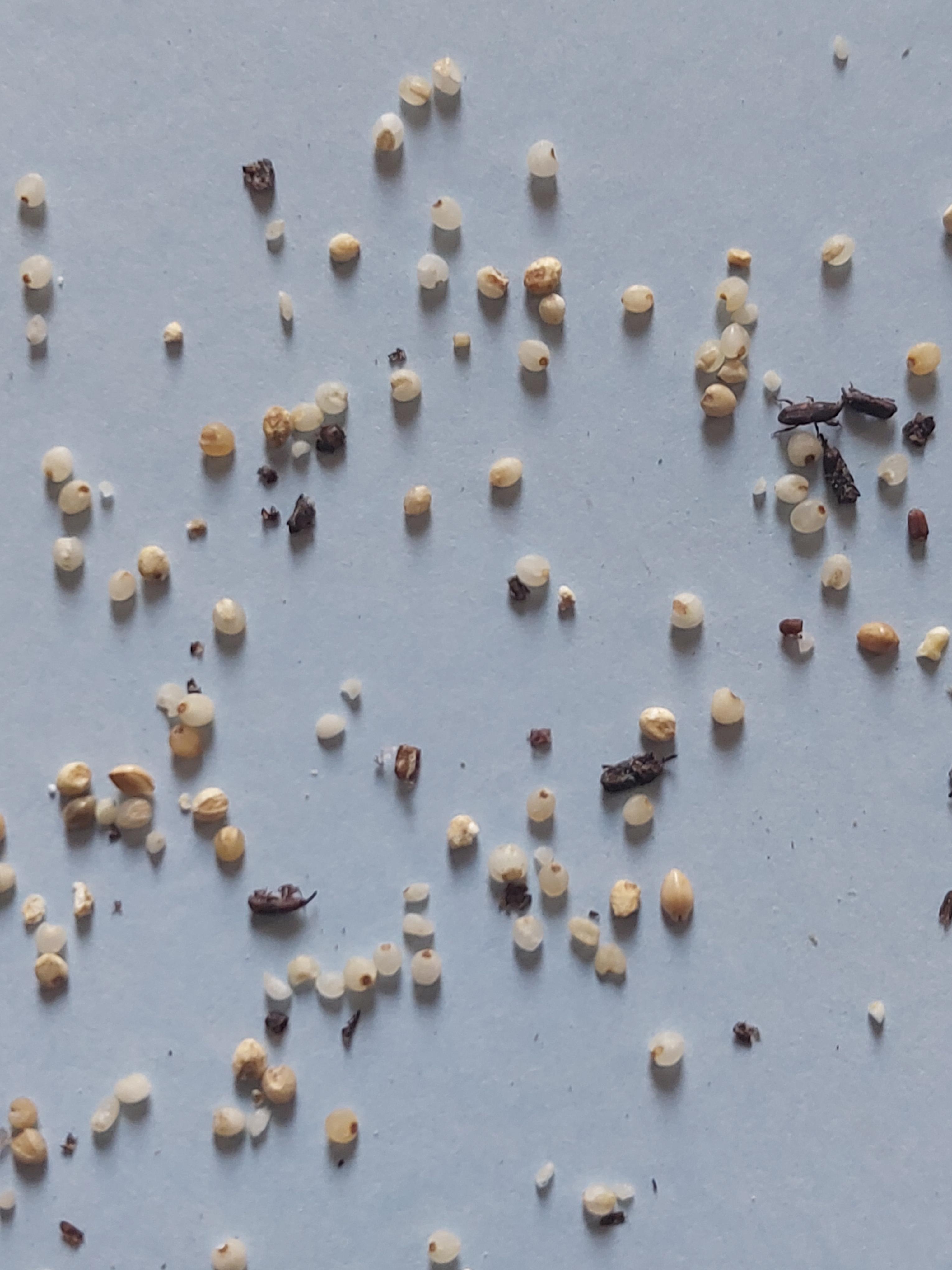 7-NEW-BARN Object Detection Dataset by AIML Ecochoice