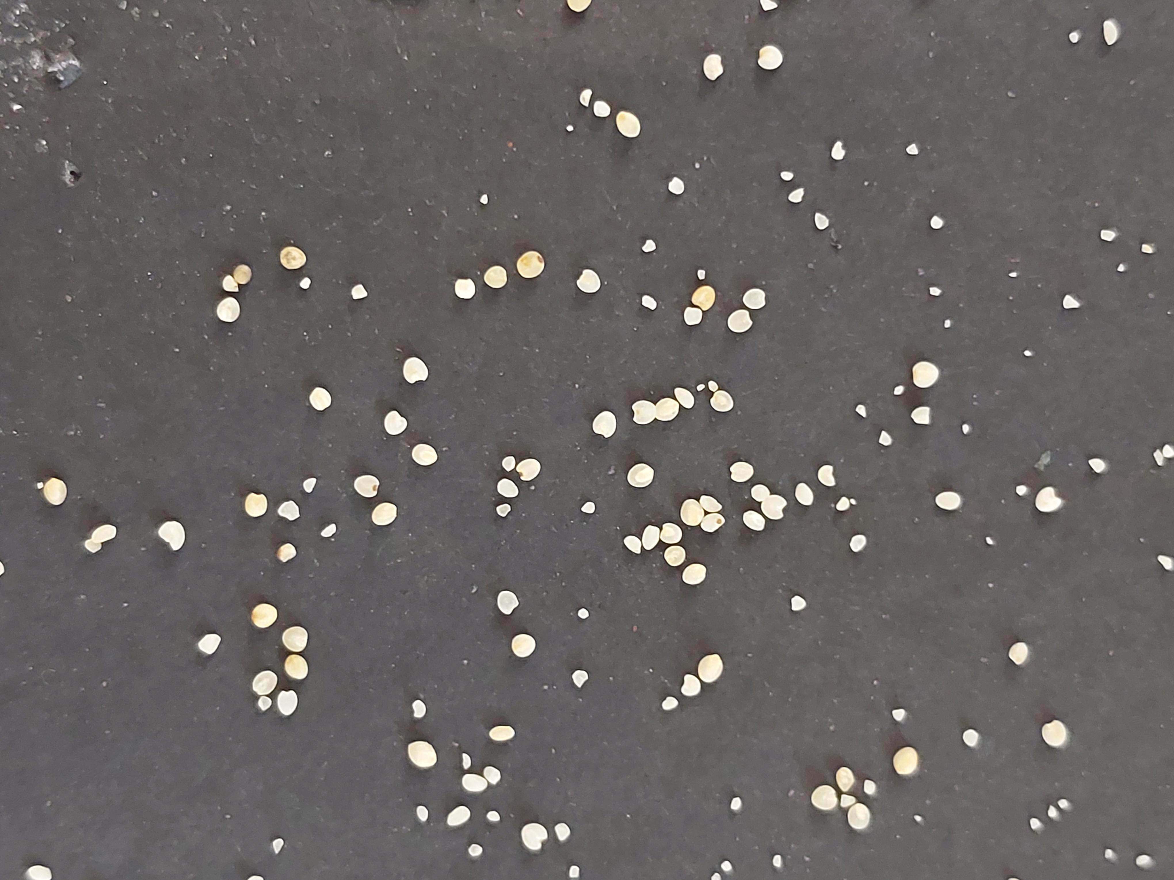 2 NEW BARN Object Detection Dataset by AIML Ecochoice