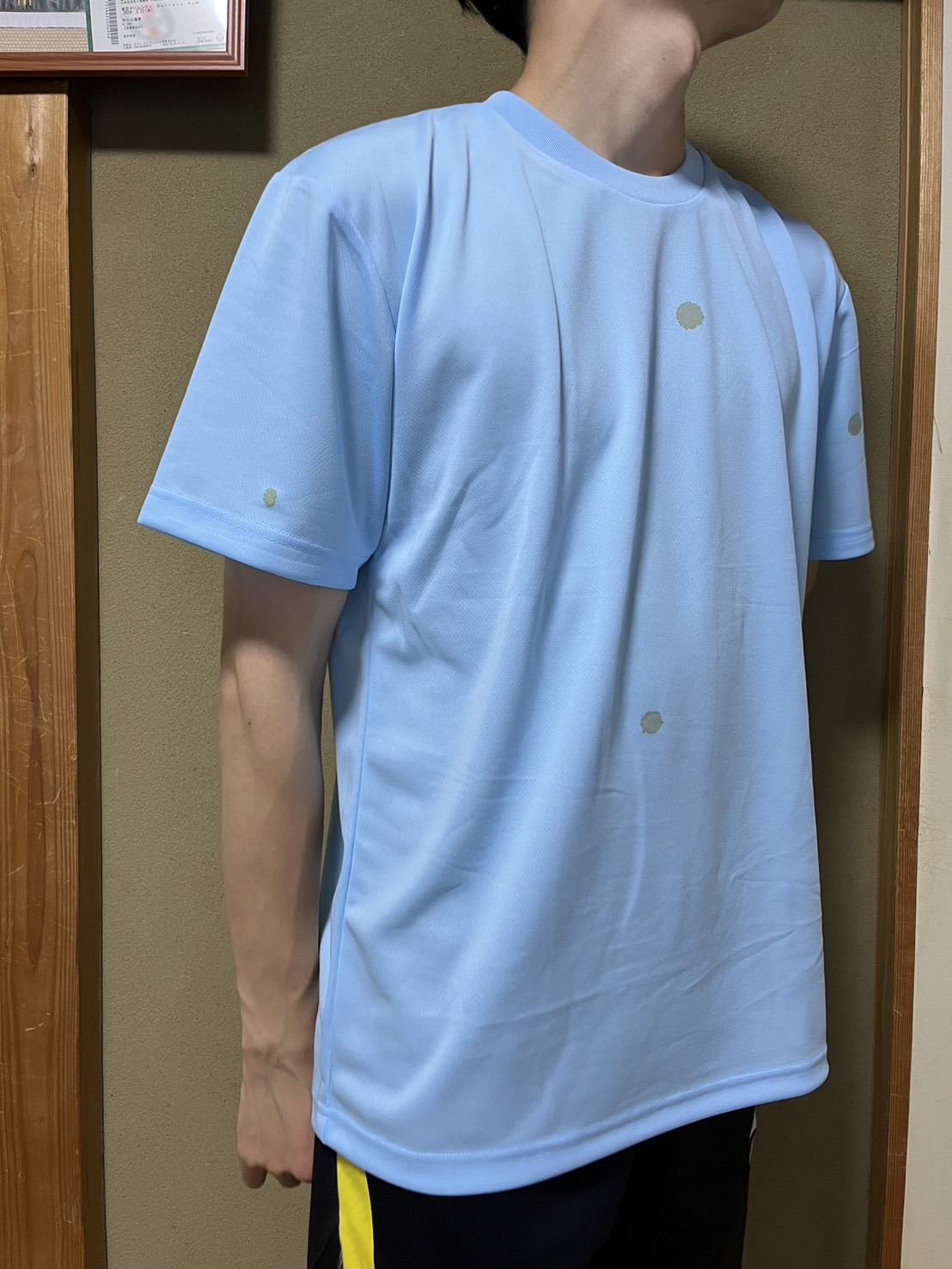 yogore_project Instance Segmentation Model by yogore2