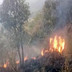 forest_fire_dataset Object Detection Dataset by snake