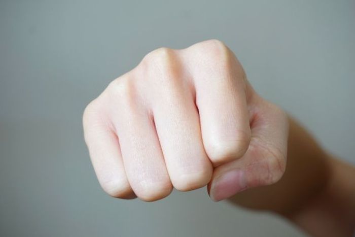 goo Object Detection Dataset by Ryo Terashima