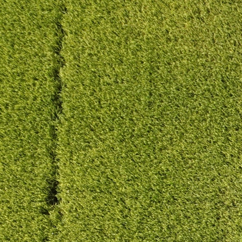 Image Classification Classification Dataset by Stage Rice