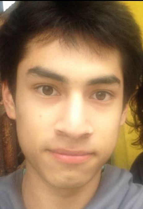 Práctica 1 Object Detection Model By David