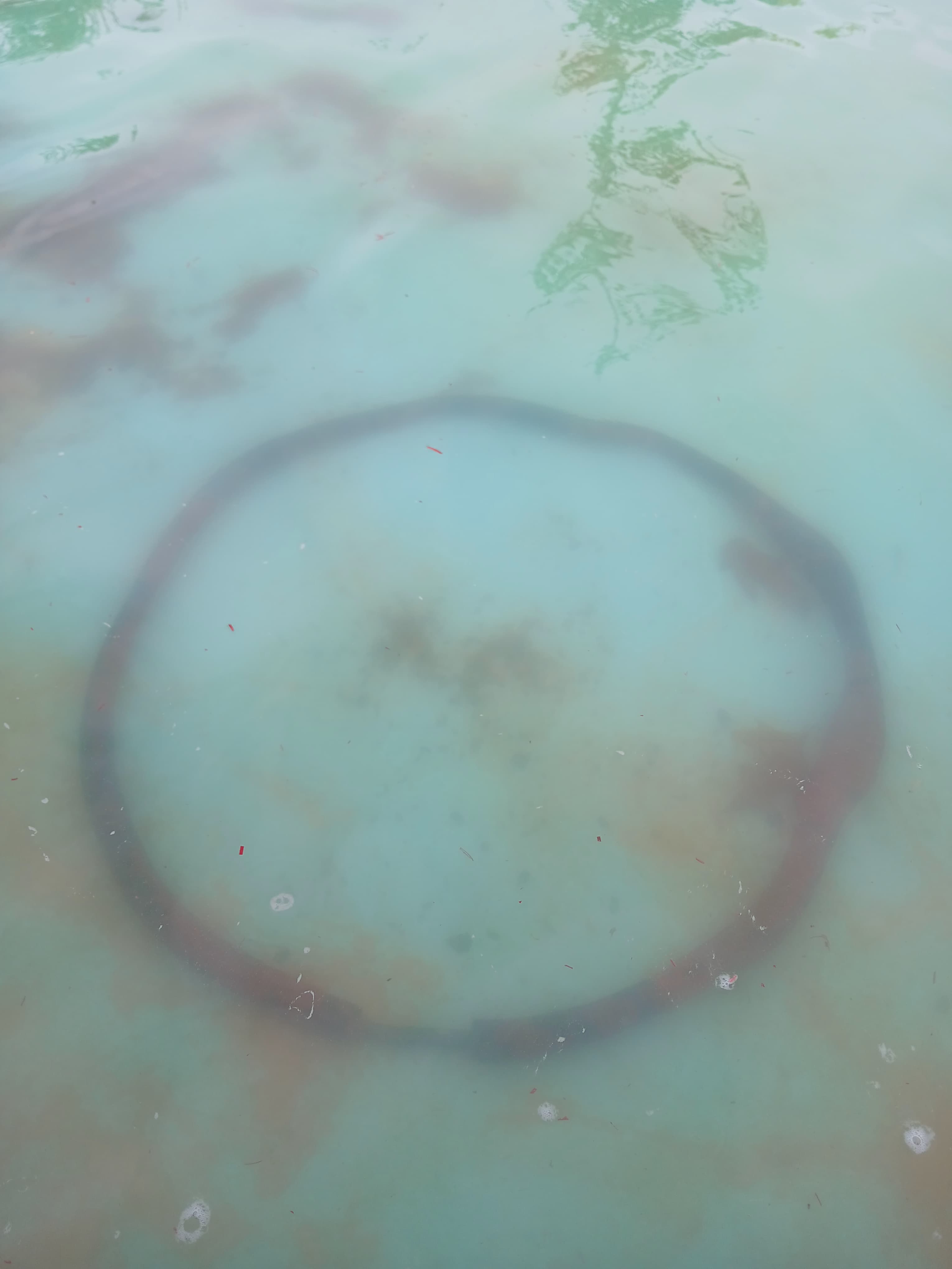 cemberul_vahşet Object Detection Model by Yusuf Nrd