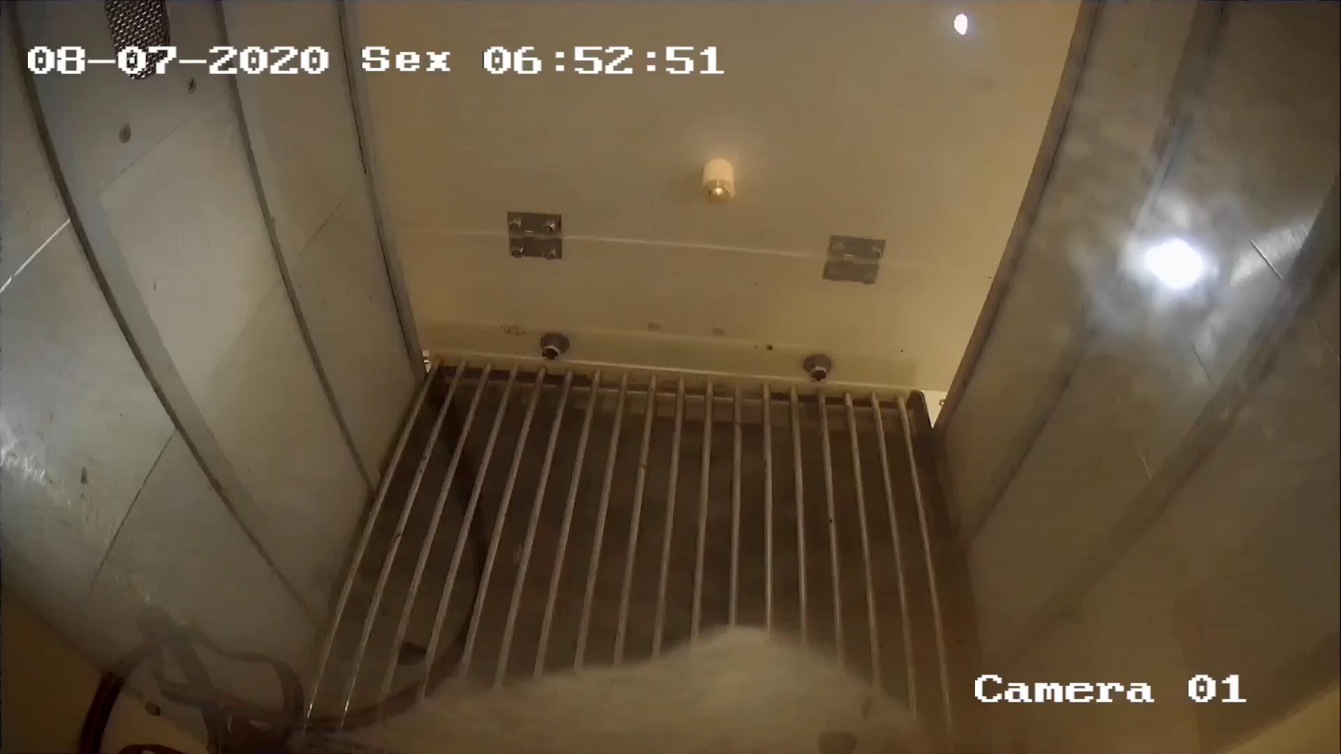 labneuro Instance Segmentation Dataset by vitors lab