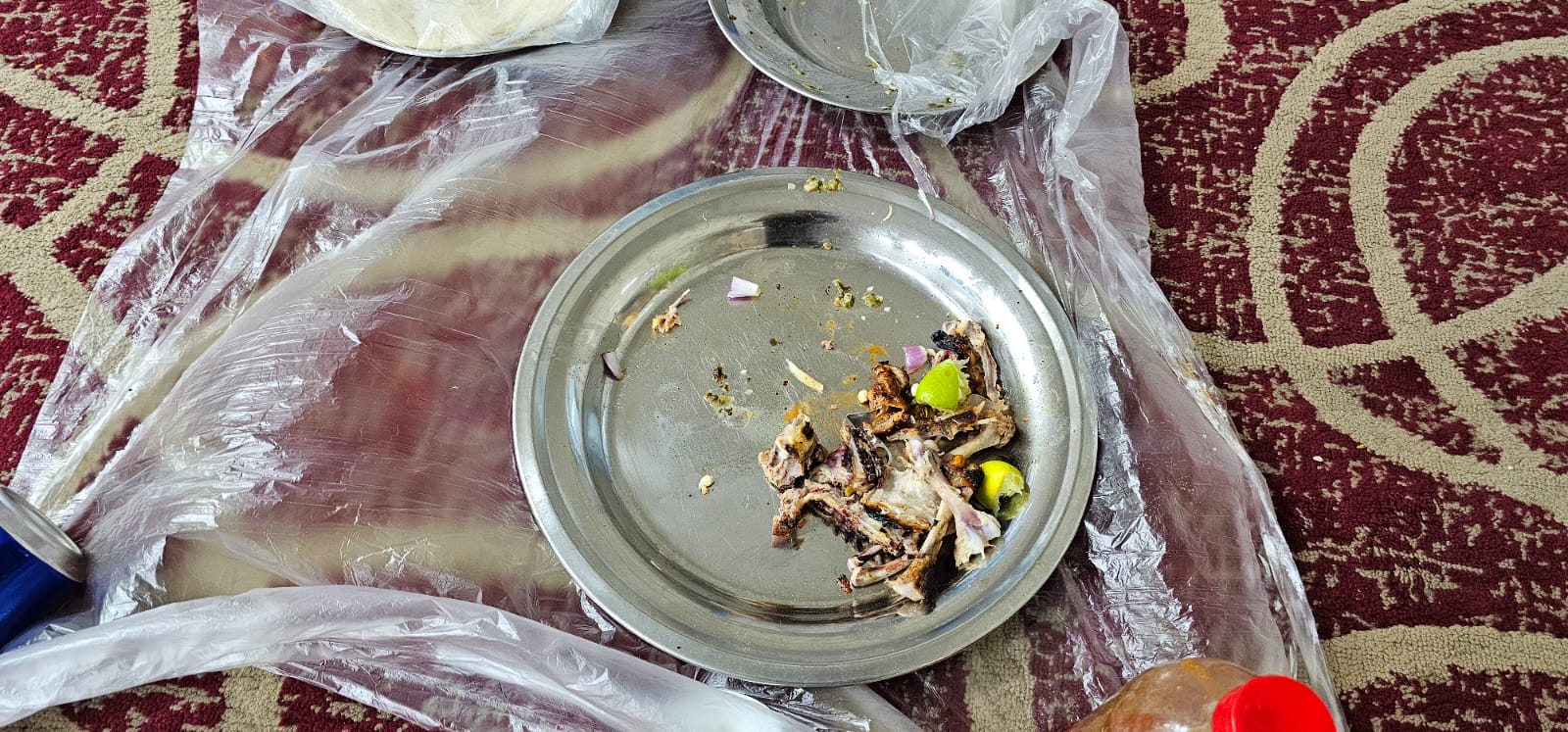 How to Use the plate/waste Detection Object Detection API