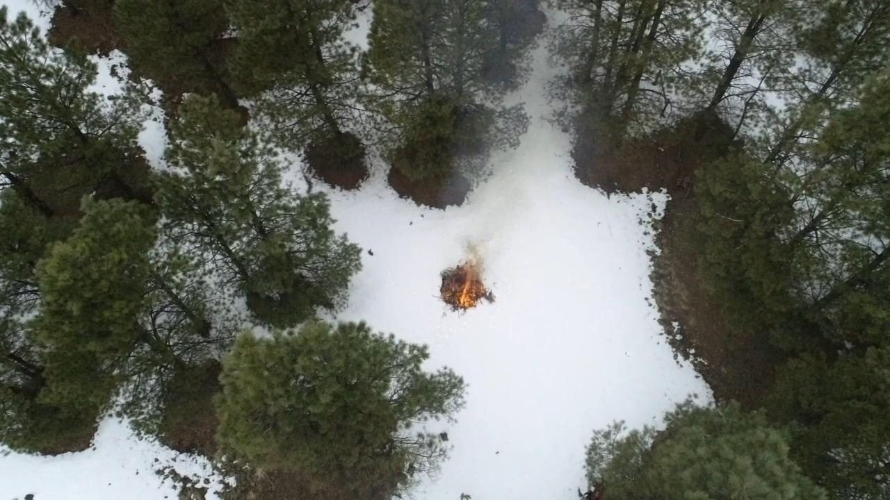 fire and smoke Instance Segmentation Dataset by AUIC