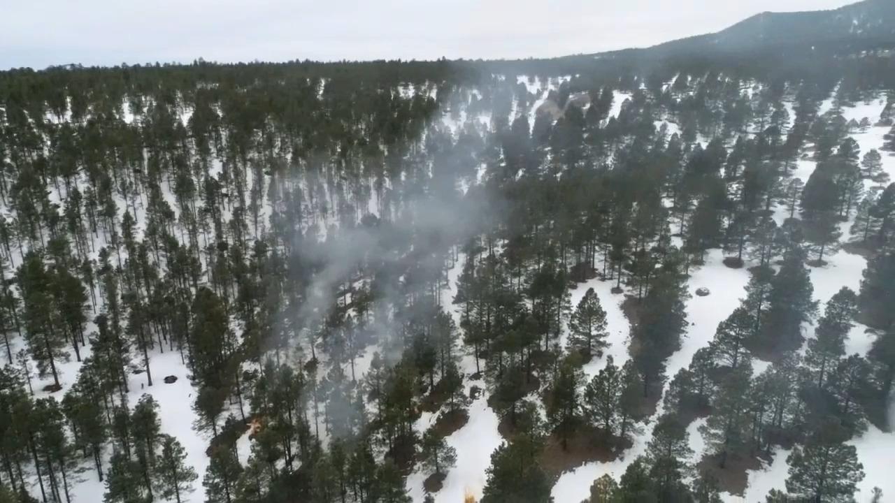 fire Object Detection Model by AUIC