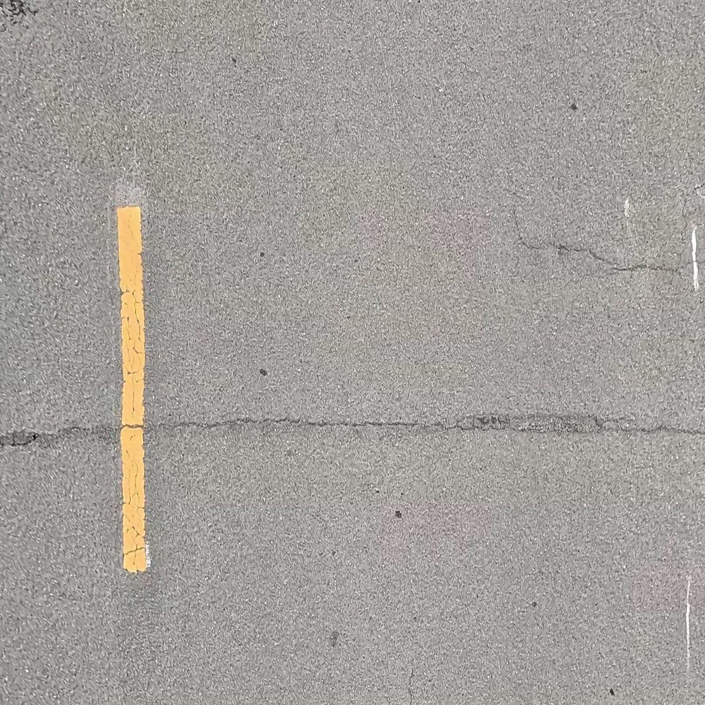 Road_Distresses Instance Segmentation Dataset by chico state