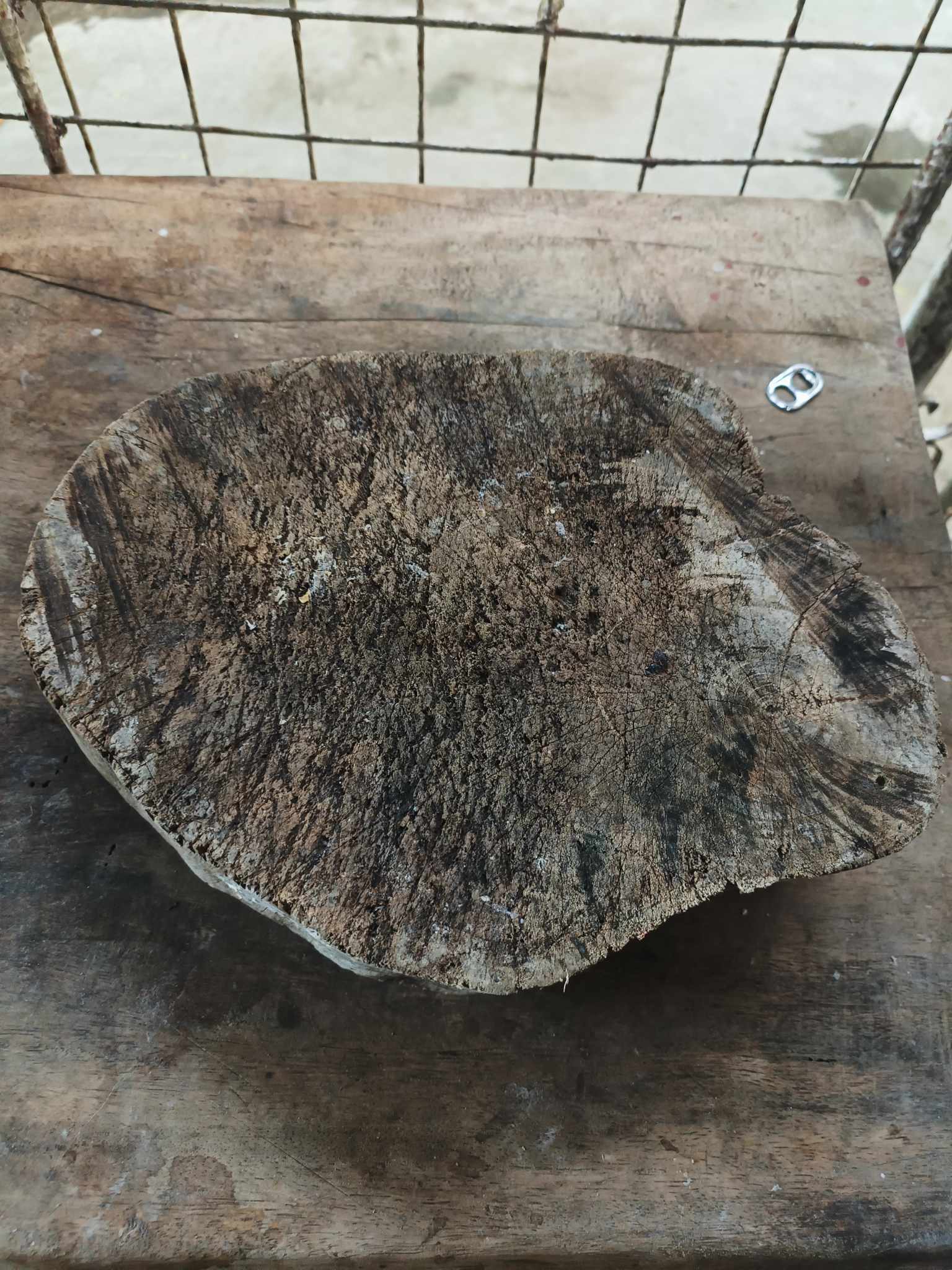 Object Detection Object Detection Dataset By Aviary