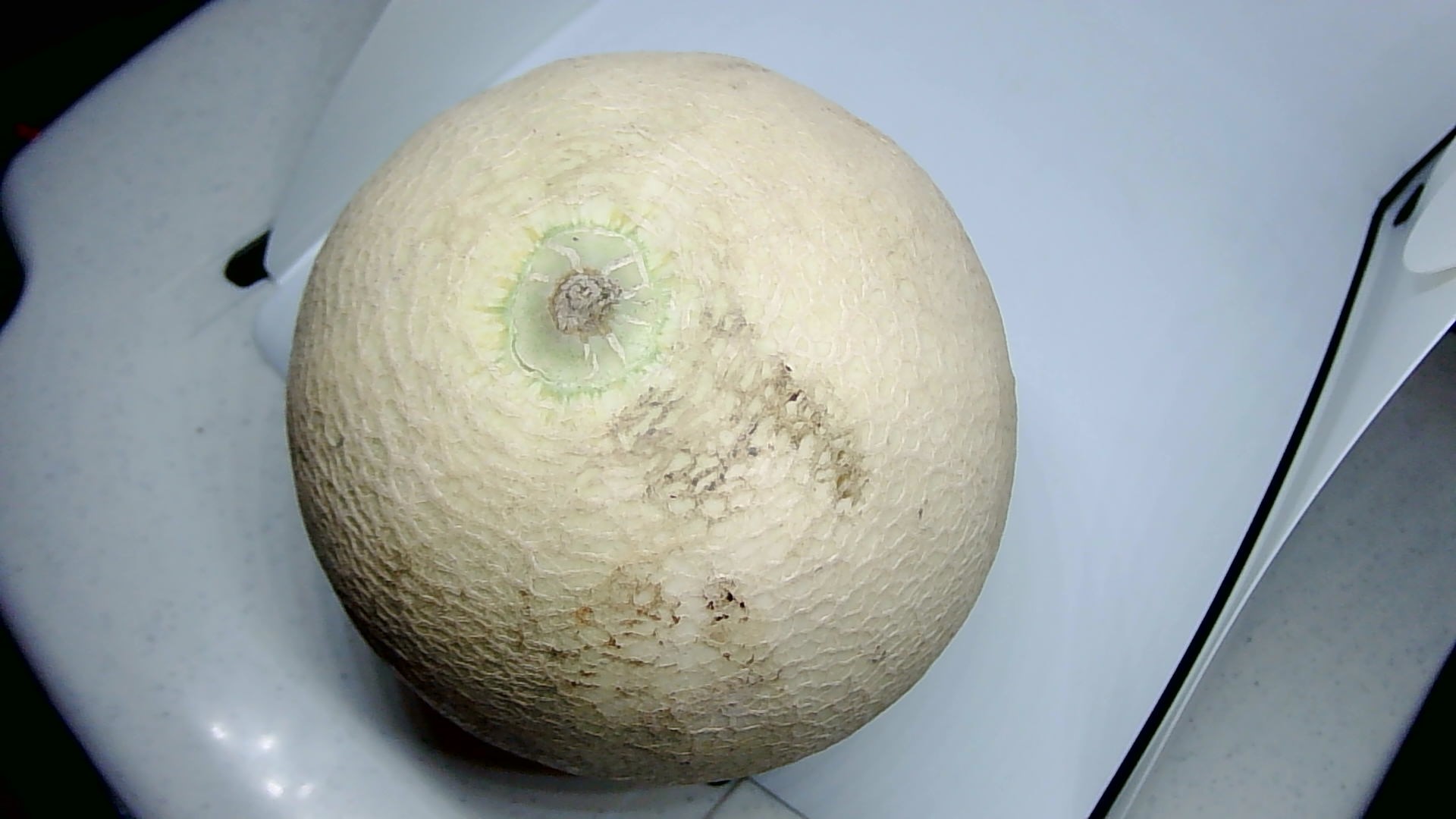 melon-final Object Detection Dataset by aviary