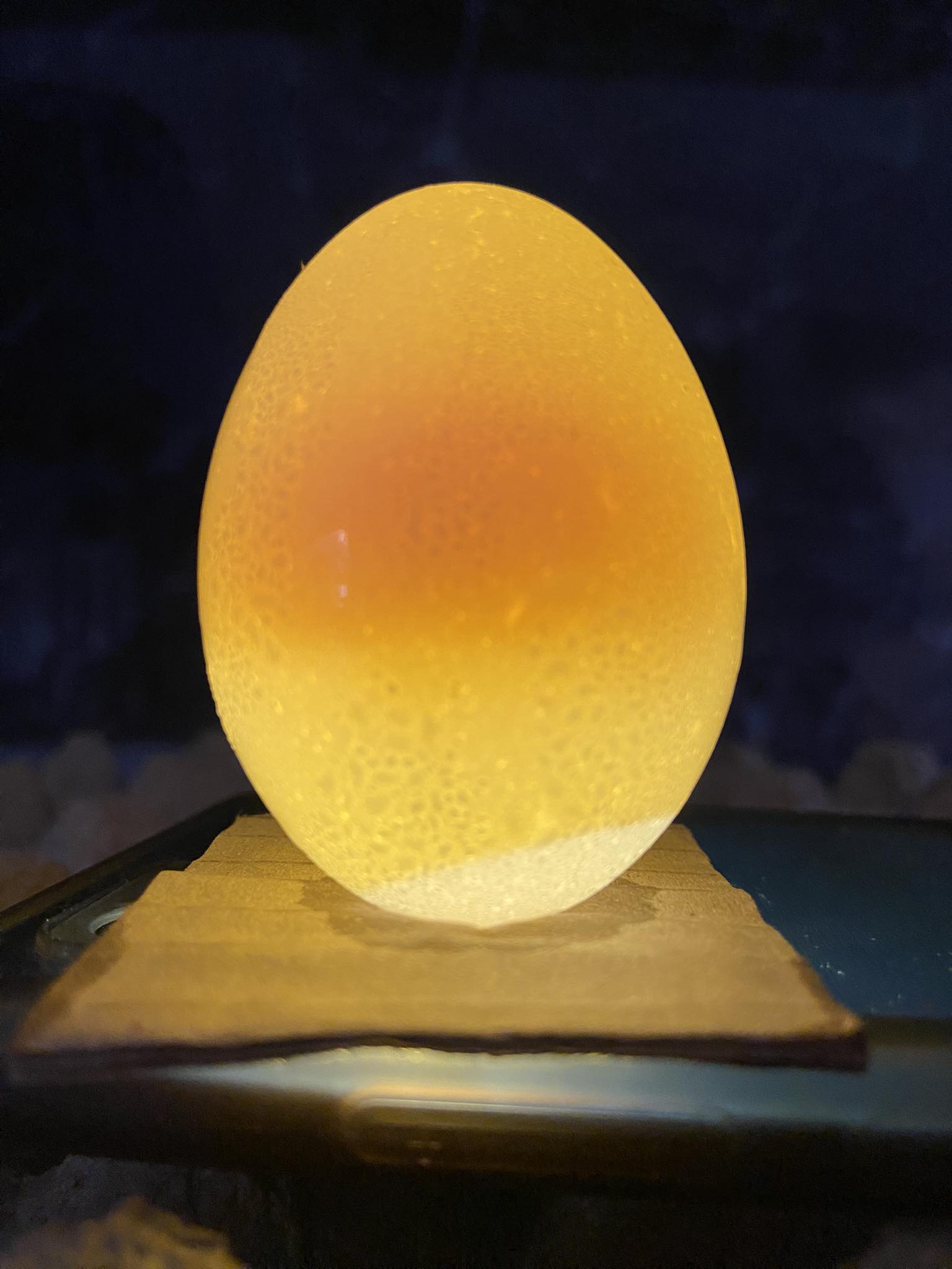 Egg Object Detection Dataset by aviary