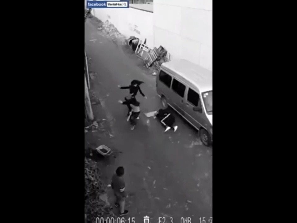 Violence Object Detection Model by Dharini