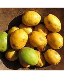 Ambarela Detection (Single Object) Object Detection Dataset by Vietnamese Fruit Dectection