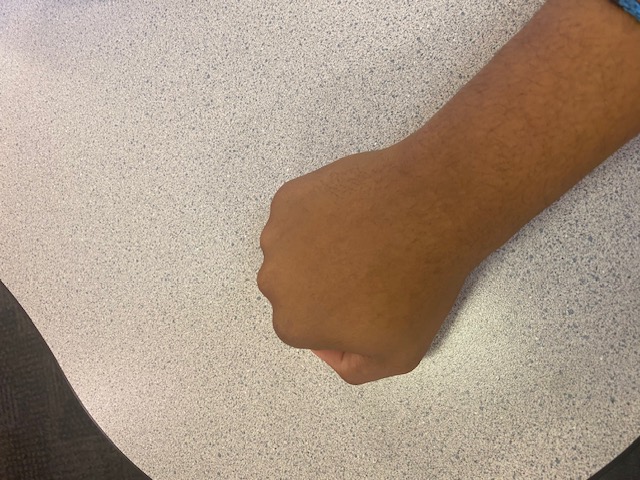 Rock Paper Scissors Object Detection Dataset and Pre-Trained Model by ENEE101