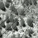 powerline_IR Object Detection Dataset by Vaishnavi Patil