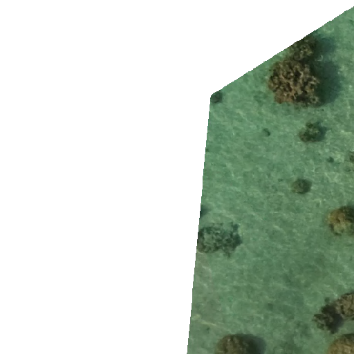 Tetiaroa2 Instance Segmentation Dataset by Workspace Coco