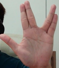 Hand Pose Detection Keypoint Detection Dataset by robolab3kmitl