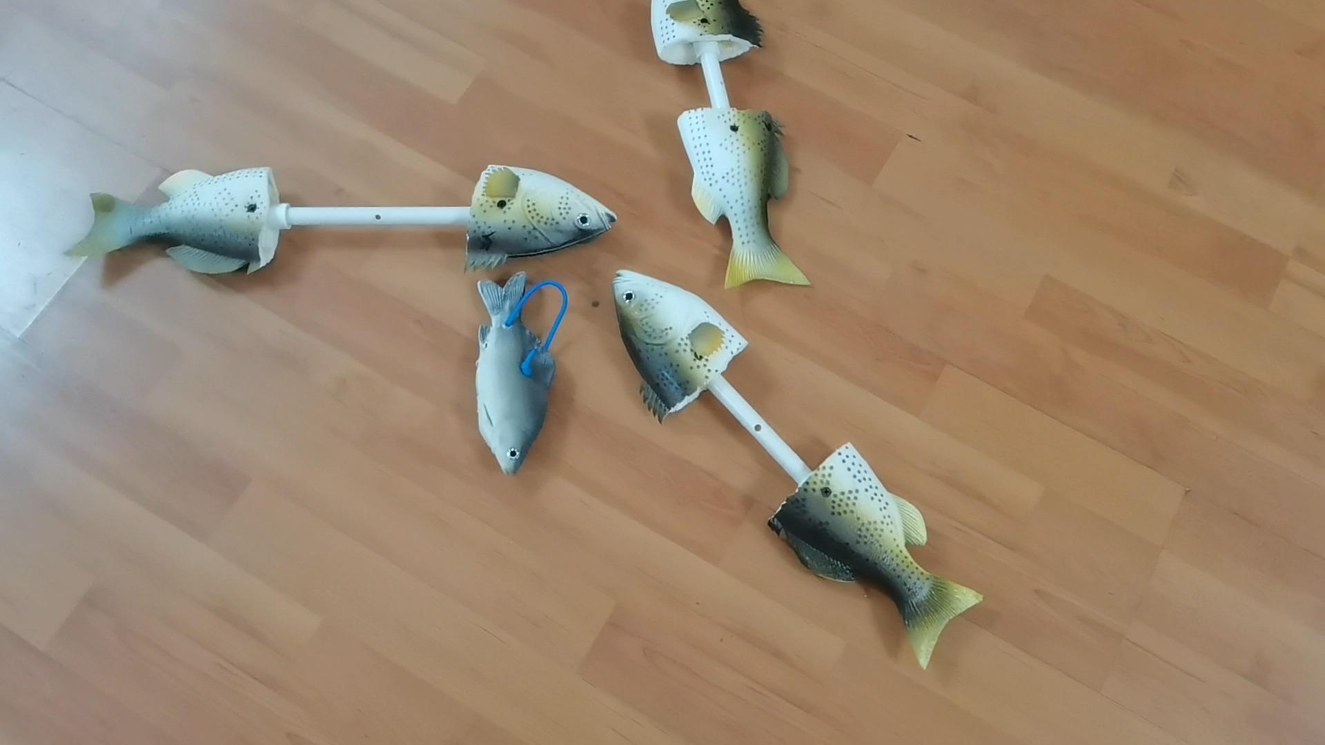 fish1 Object Detection Dataset and Pre-Trained Model by 张瑜衡