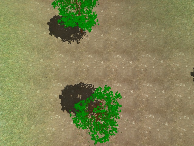 MY_Tree Object Detection Dataset by EMRE DEMİRTEN