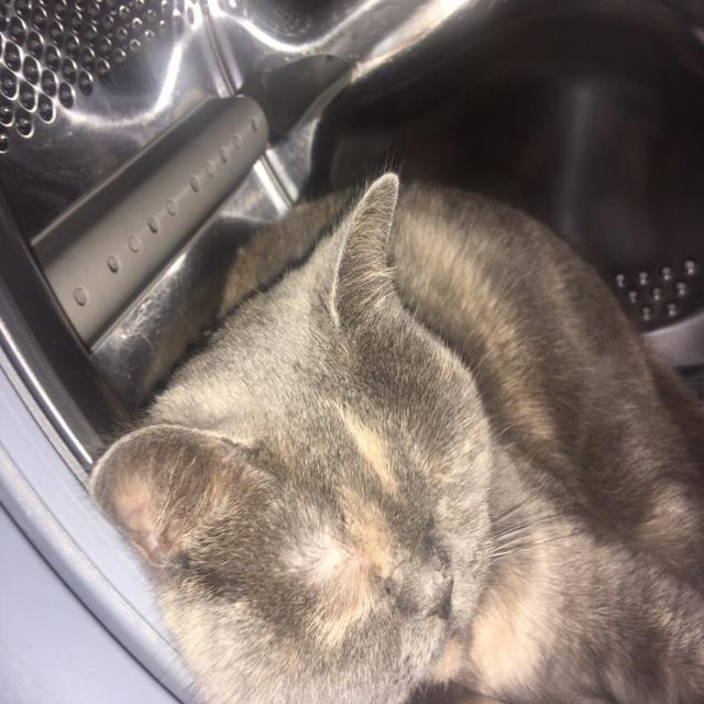 3A D4JTD Group 2 Object Detection Model by State Polytechnique of Malang