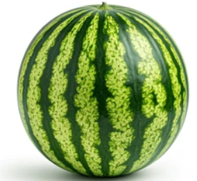 Watermelon sweetness Classification Model by Watermelon sweetness test