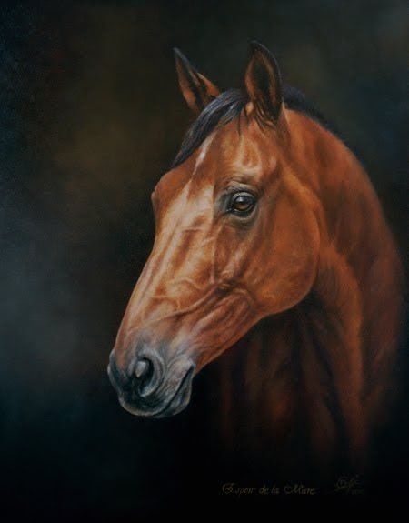 ANIMAL Object Detection Dataset by MACHINE LEARNING