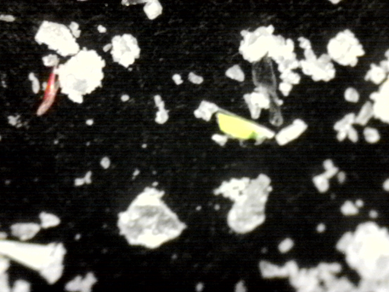 Microplastic Detection On Salt Object Detection Dataset And Pre Trained