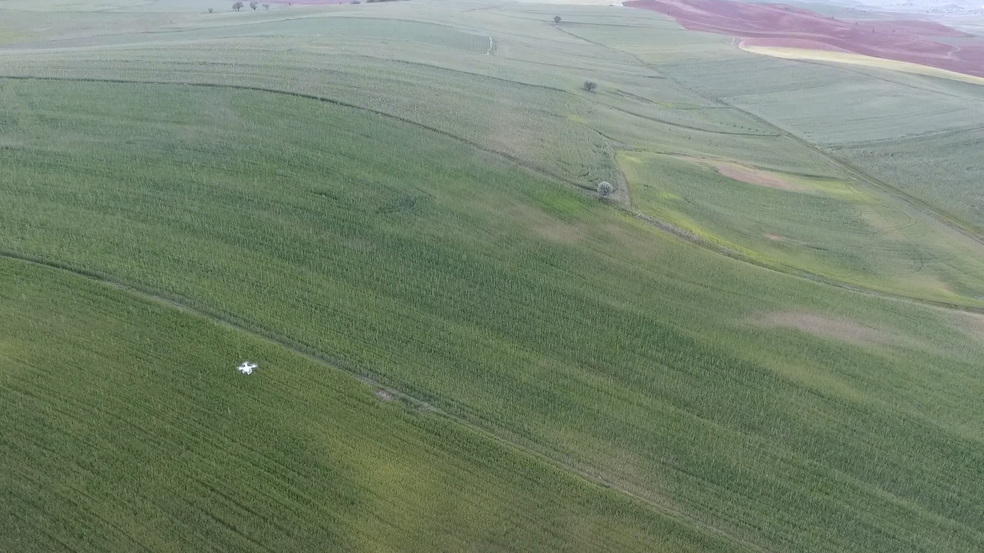 Drone Dataset2 Object Detection Dataset By Egm2