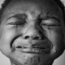 Emotion Recognition YOLO v11 FYP 2 Object Detection Model (v3, 2025-05 ...