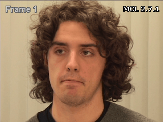 Muhamad Aqil Iman - Roboflow Universe