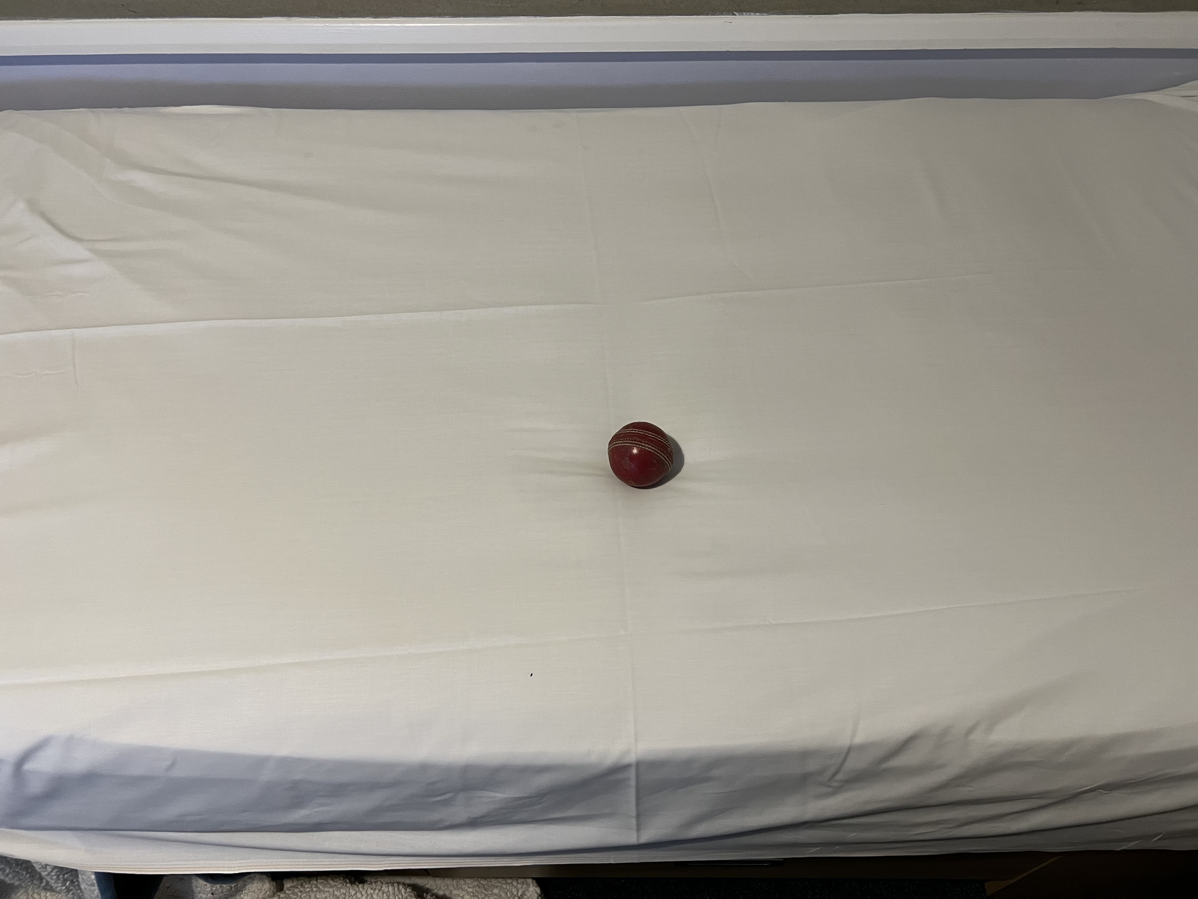 Ball-Detector-WhiteBackground Object Detection Dataset and Pre-Trained ...