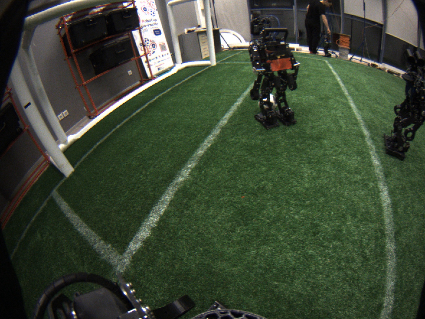 line Instance Segmentation Model by football