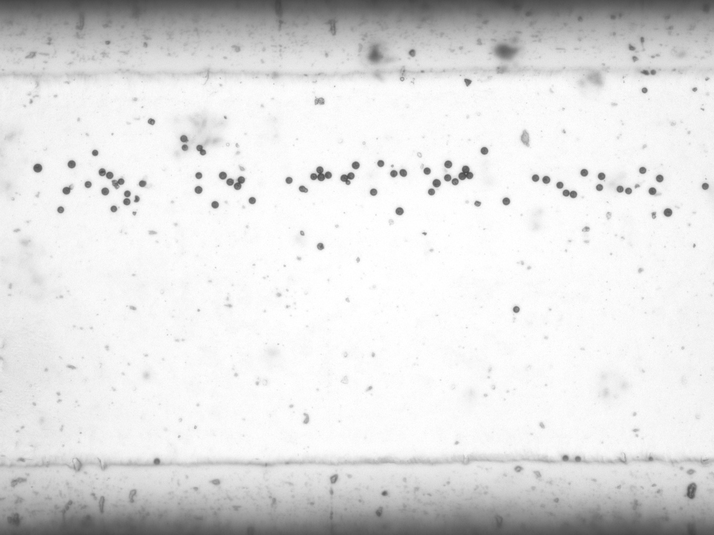 Object Detection Object Detection Dataset And Pre Trained Model By Seyda